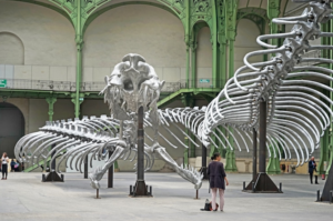 Giant Serpent Emerges From the Sea Off the Coast of France