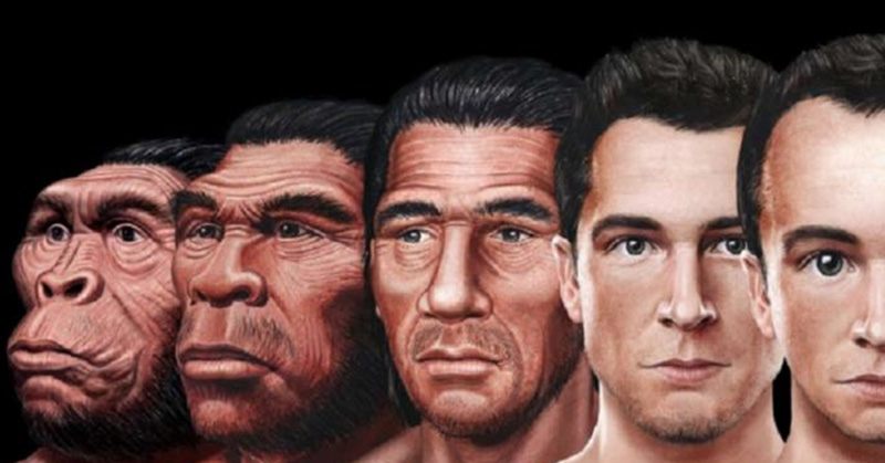 Evolution Continues: What the Human Face Could Look Like in the Future