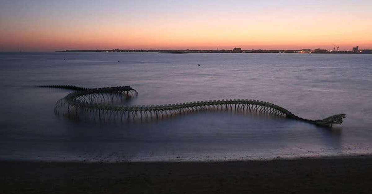 Giant Serpent Emerges From the Sea Off the Coast of France