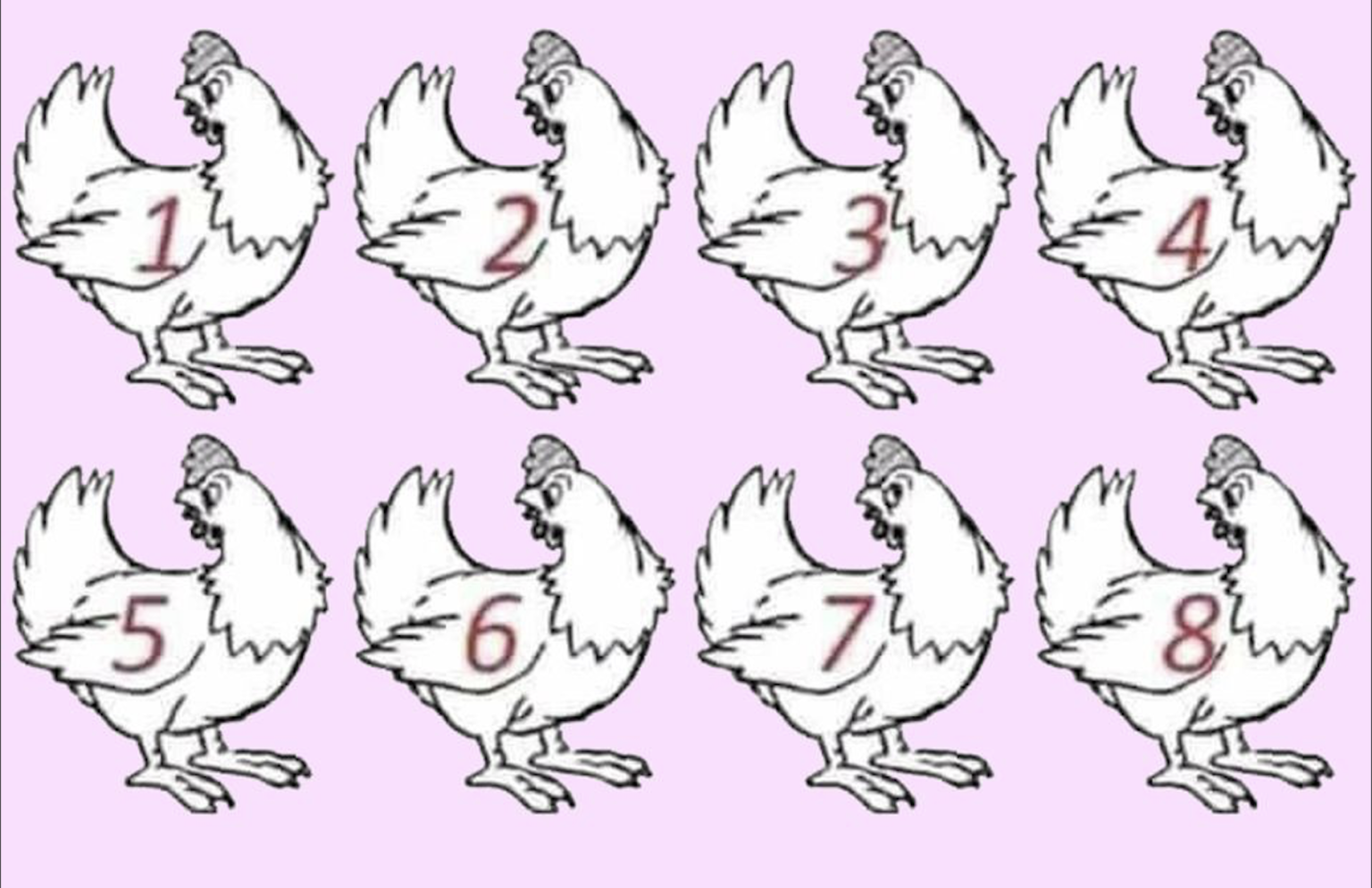 Strictly For The Genius…Spot The Differences Between These Chickens