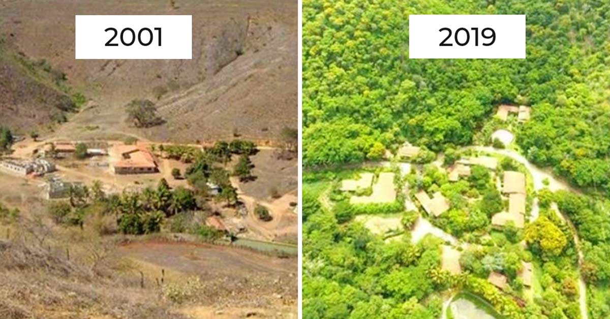 Planting 2 million trees: Couple Plants Hundreds Of Acres Of Forest ...