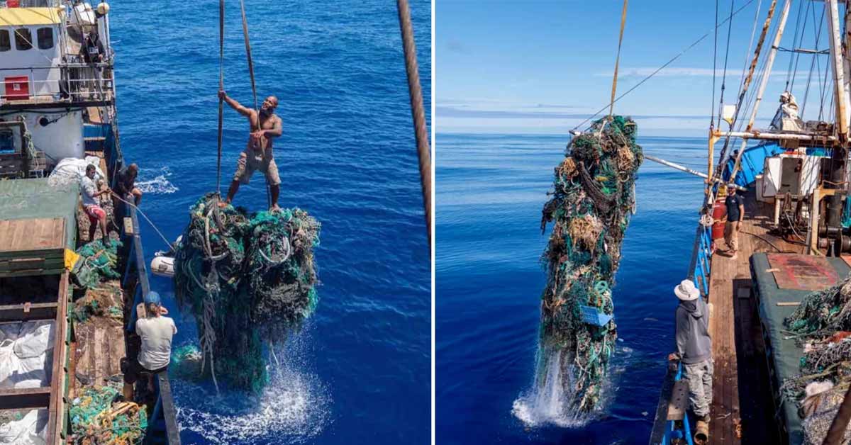 Hawaii Group Makes Record Haul Of 103 Tons Of Ocean Trash : Tiffy Taffy