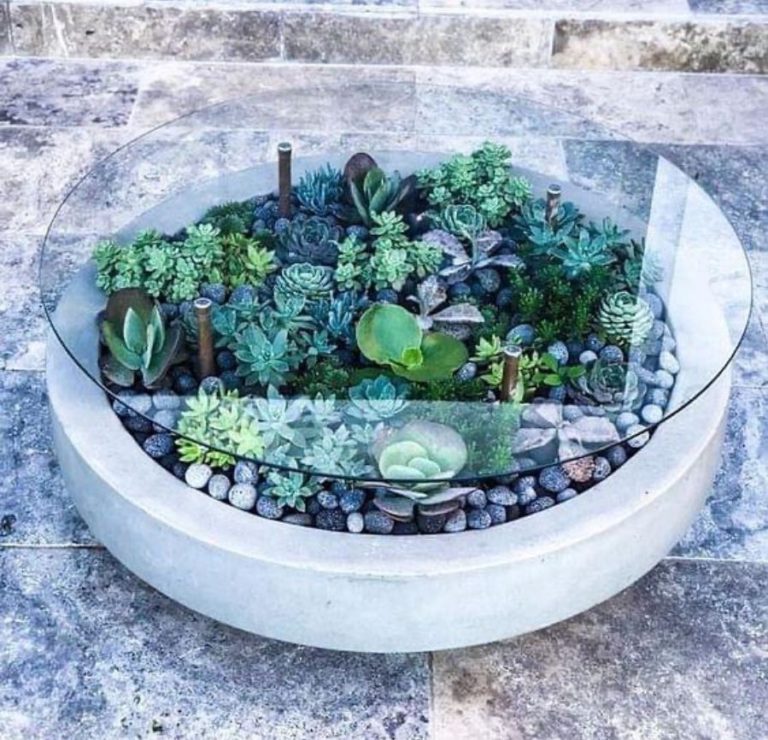 People Are Turning Glass Tables Into Giant Succulent Gardens : Tiffy Taffy