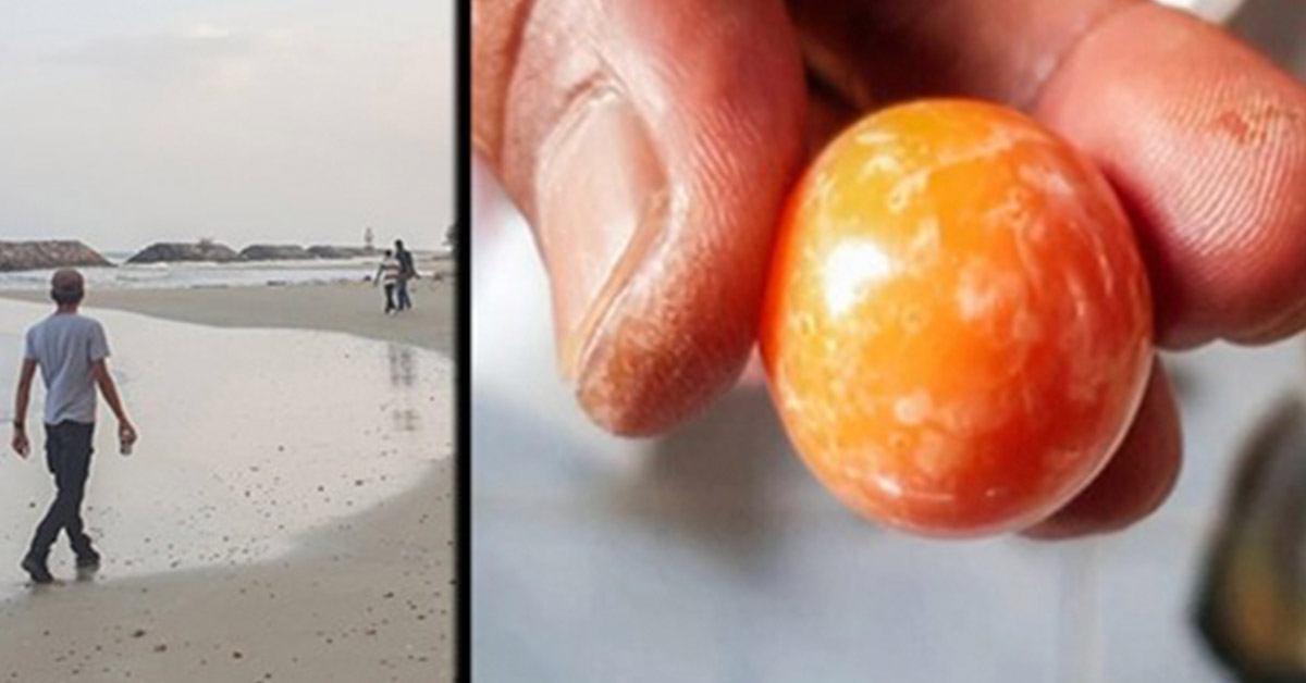 Poor Fisherman Finds Extremely Rare Pearl Worth $330,000 While ...