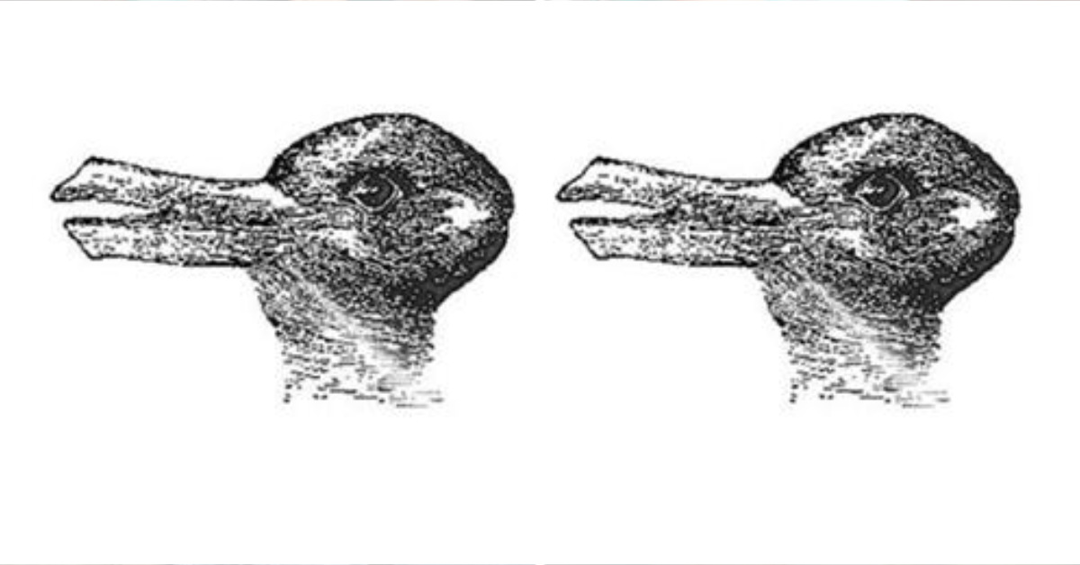 Do You See A Duck Or A Rabbit? Your Answer Reveals Something About Your ...