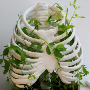 Skeleton Planter Lets Climbing Plants Grow On Some Bones : Tiffy Taffy