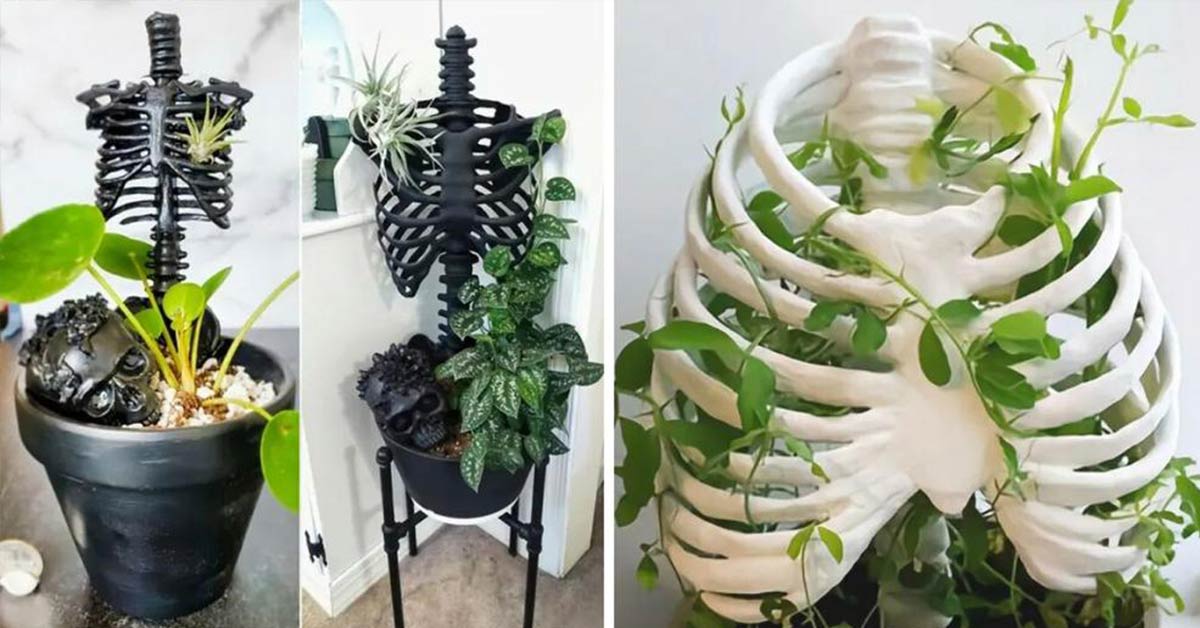 Skeleton Planter Lets Climbing Plants Grow On Some Bones : Tiffy Taffy