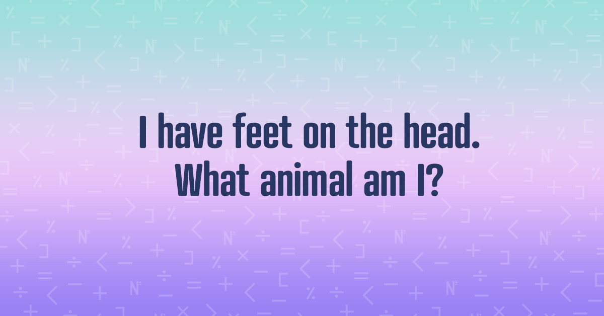 11 Riddles That Can Challenge Your Brain and Exercise Your Mind : Tiffy ...
