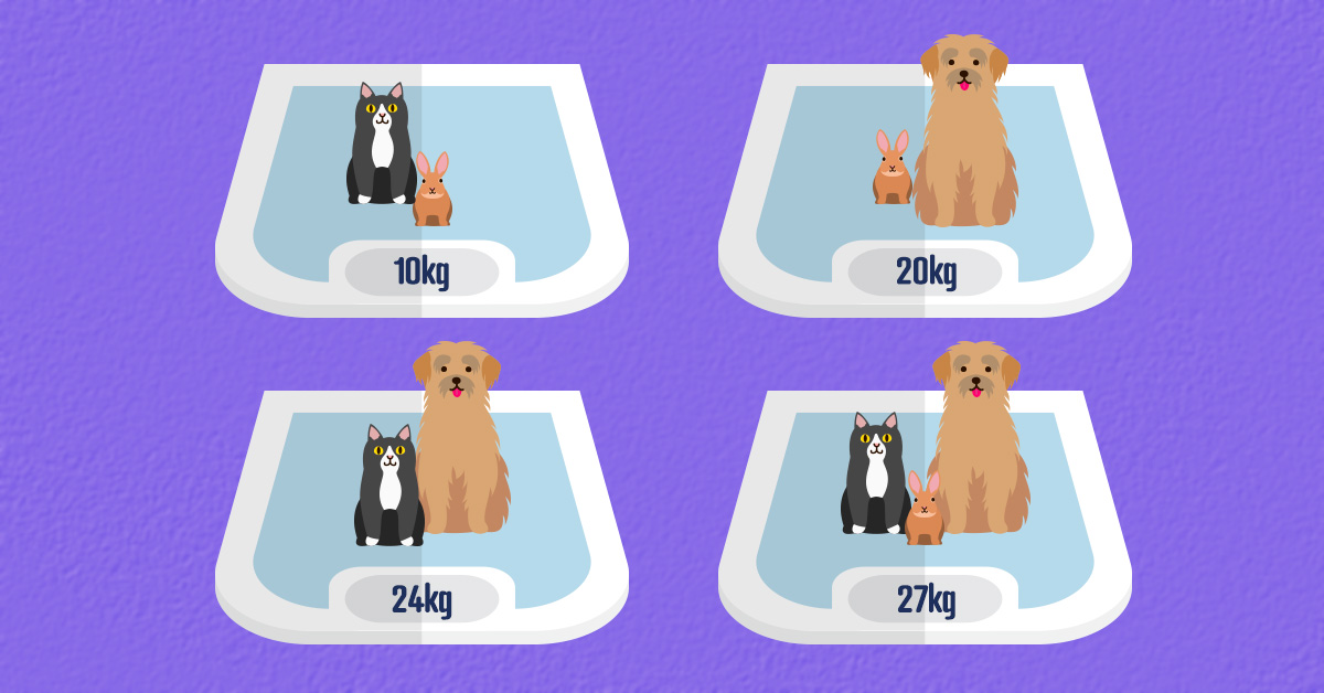 11 Riddles That Can Challenge Your Brain and Exercise Your Mind : Tiffy ...