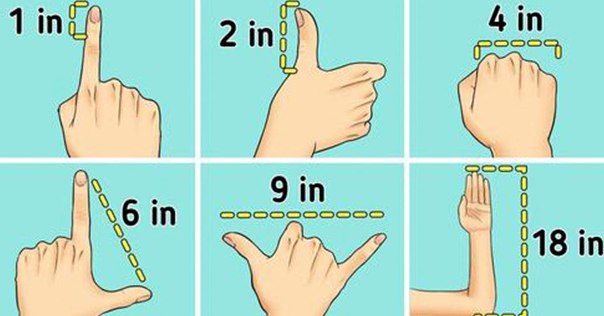 How to measure without a ruler - Tiffy Taffy