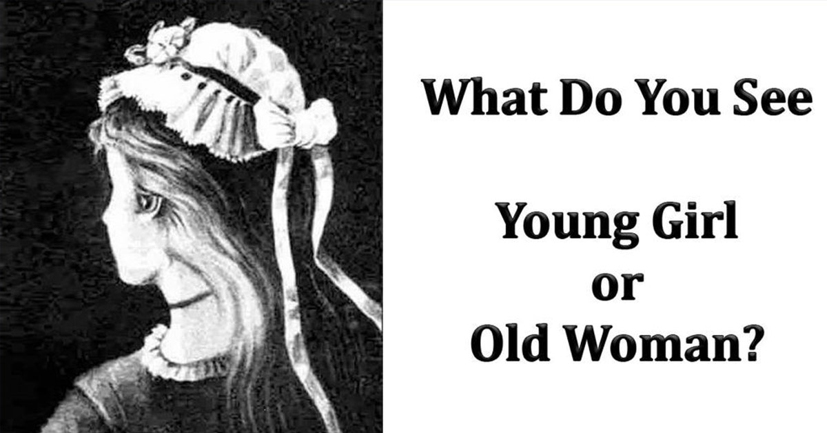 There Are Two Women Hidden In This Optical Illusion! Do You See Them?