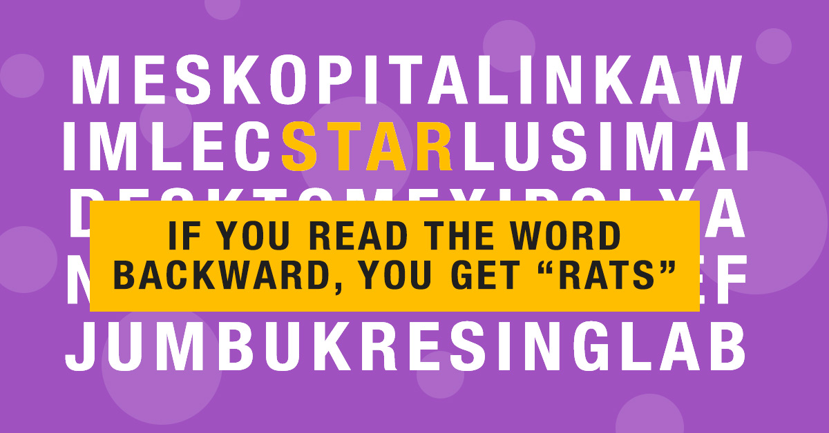 Find the Hidden Words in Less Than 5 Minutes : Tiffy Taffy