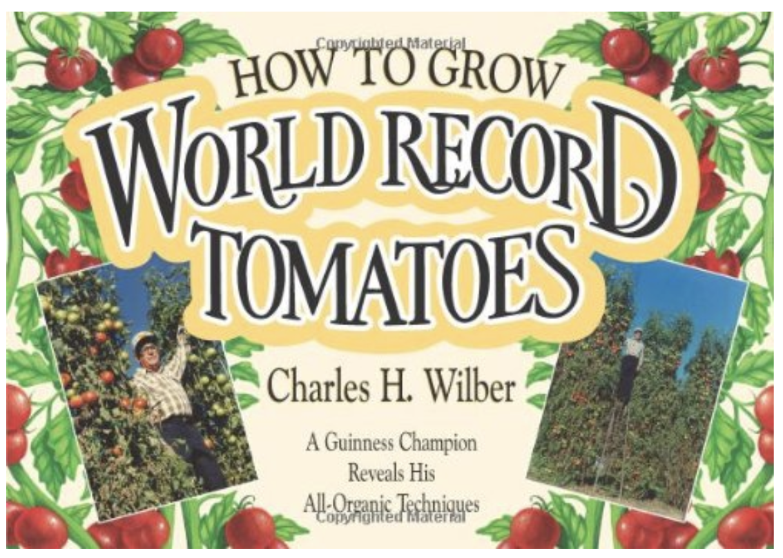 Man Sets World Record With Giant Tomato Plant That Yields 400 Pounds Of ...