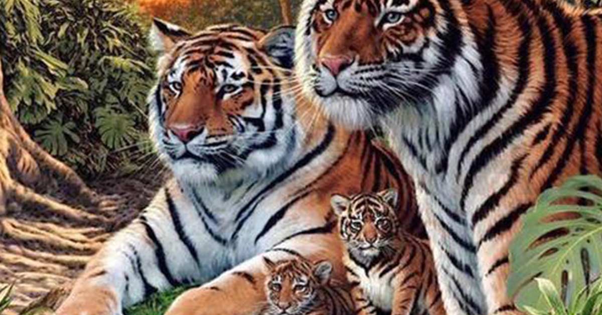 How Many Tigers Can You Find In This Picture?