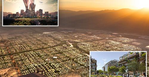 Billionaire wants to build woke 'equitable' utopia in the American desert