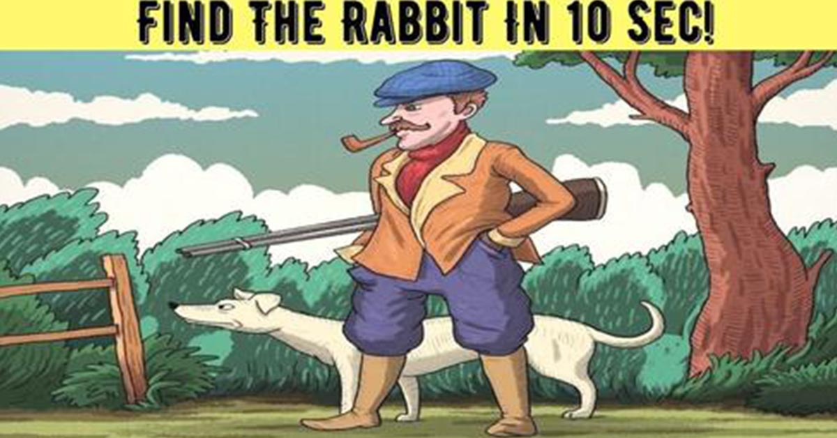 How Fast Can You Spot The Rabbit In This Picture?