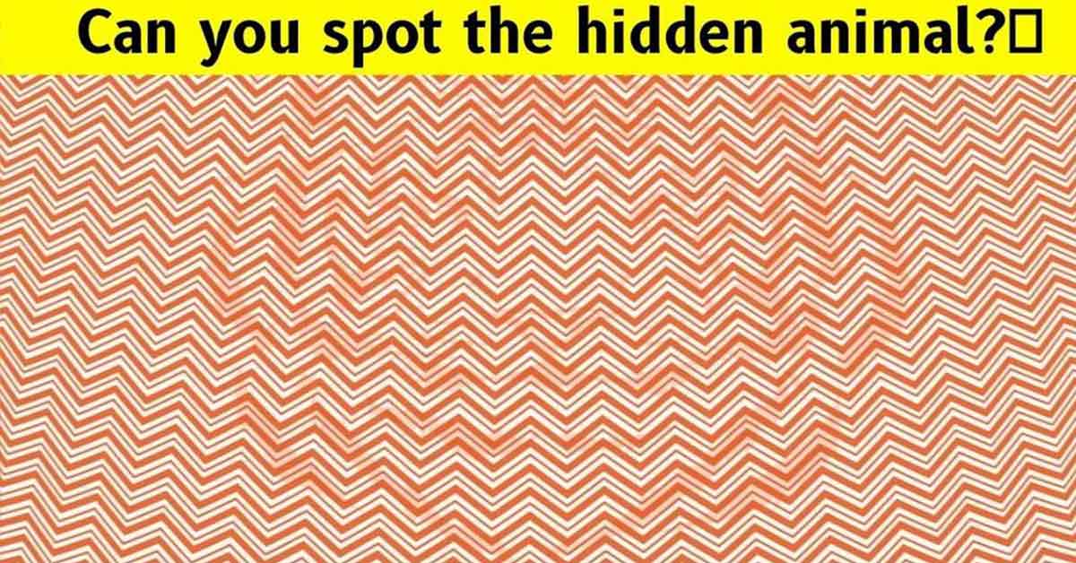 90% Of Viewers Can’t Spot The Hidden Animal In This Picture! But Can ...