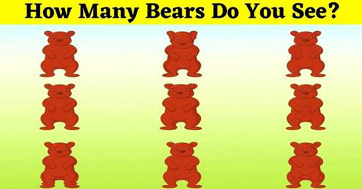 Count All The Bears In This Picture – There Are MANY More Than Meets ...