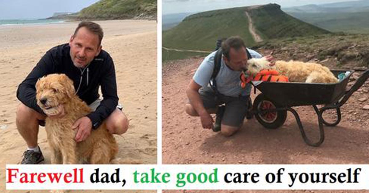 Devoted Dog Dad Takes Ill Labradoodle on a Final Mountain Hike in a ...