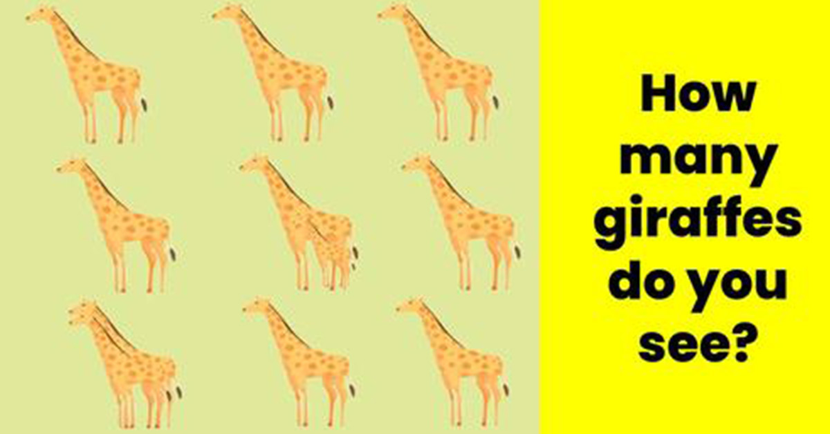 This 'Vision Test' Is Designed For The Best! Can You Give It A Try?