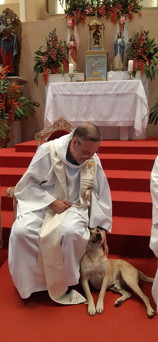 A Kind Priest Brings Stray Dogs To Mass So They Can Find New Families