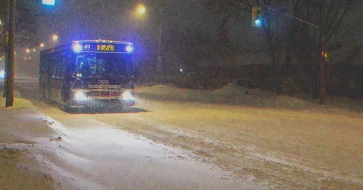 Bus Driver Finds in His New Apartment Photo of Woman He Once Kicked off ...