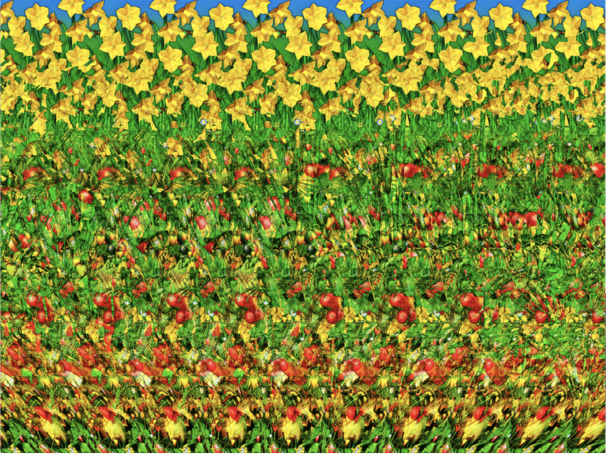 Only 1 In 10 People Can Spot The 4 WORDS Hidden In This Picture!