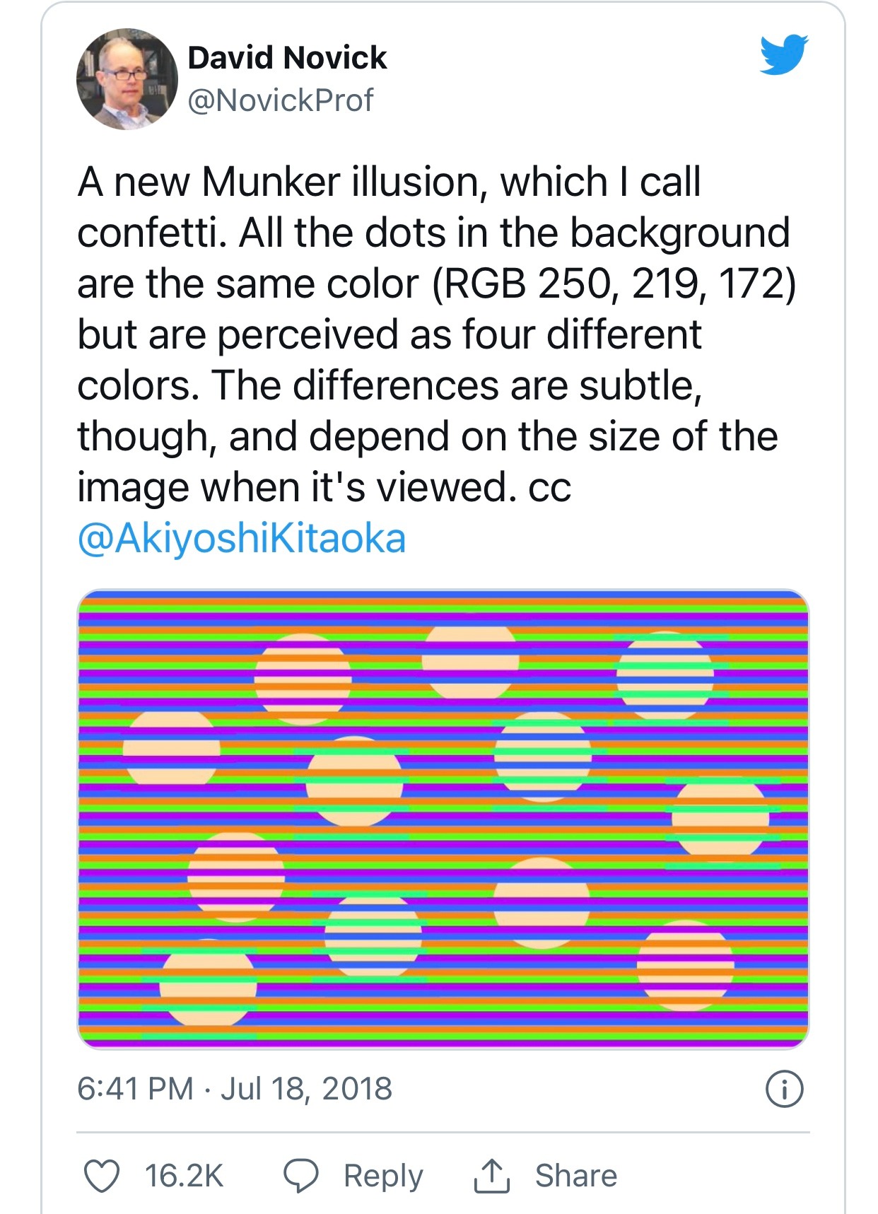 8 mind-blowing optical illusions that everybody perceives differently