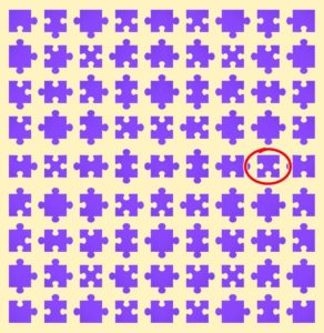 Spot the Odd One in 15 Pictures