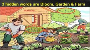 How Quick Can You Locate The Hidden Words In This Picture Puzzle?