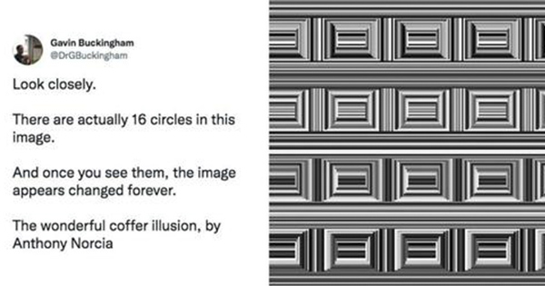 People Are Losing Their Minds Over This Circle-Filled Optical Illusion