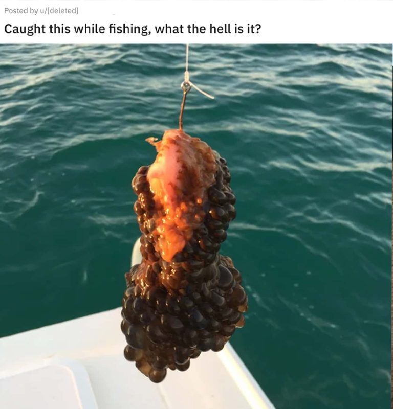 People Are Asking For Help To Identify Strange Objects They Found & The ...