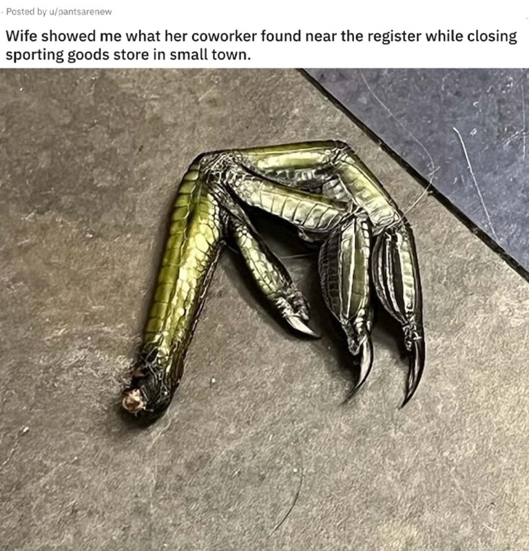 People Are Asking For Help To Identify Strange Objects They Found & The ...