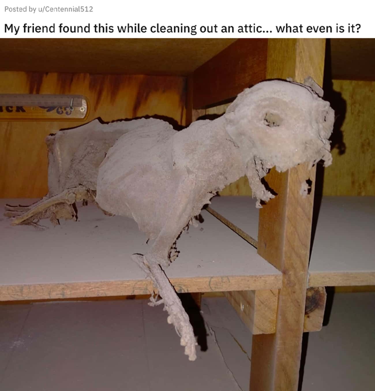 People Are Asking For Help To Identify Strange Objects They Found & The ...