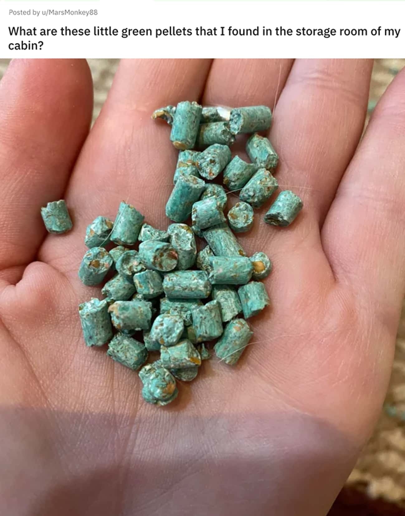 People Are Asking For Help To Identify Strange Objects They Found & The ...