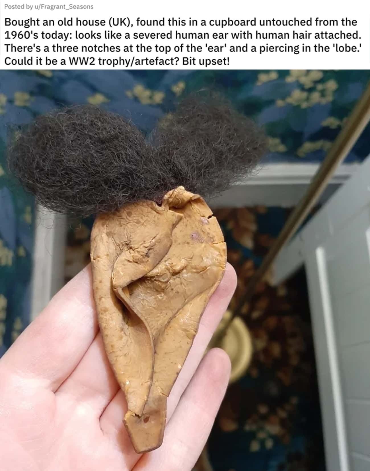 People Are Asking For Help To Identify Strange Objects They Found & The Answers Are Truly ...