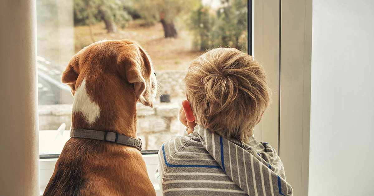 Dog Joins 3 year old During Timeout In Sweetest Viral Photo