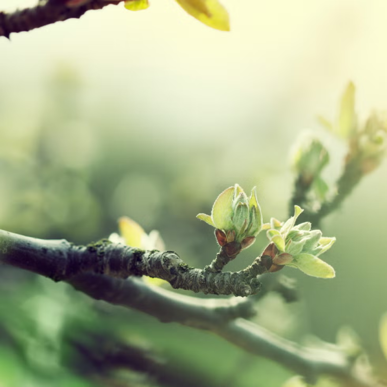 Your Birth Month's Color and Meaning, Explained