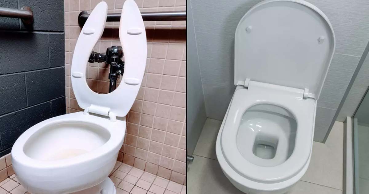 Why Do Some Toilet Seats Have Open Fronts? : Tiffy Taffy