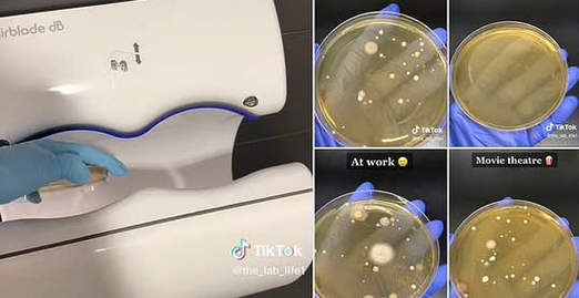 The Dirty Truth About Hand Dryers in Public Restrooms