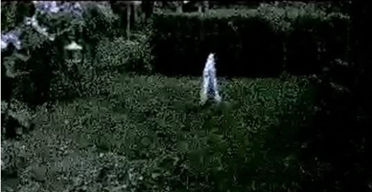 How the Fresno Nightcrawlers Walked Out of the Shadows and Into Urban ...