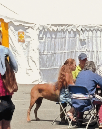 17 Viral Photos From This Week That Shocked the Internet